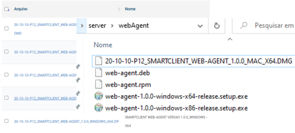 WebAgent - Expanda as funcionalidades do WebApp - User Function